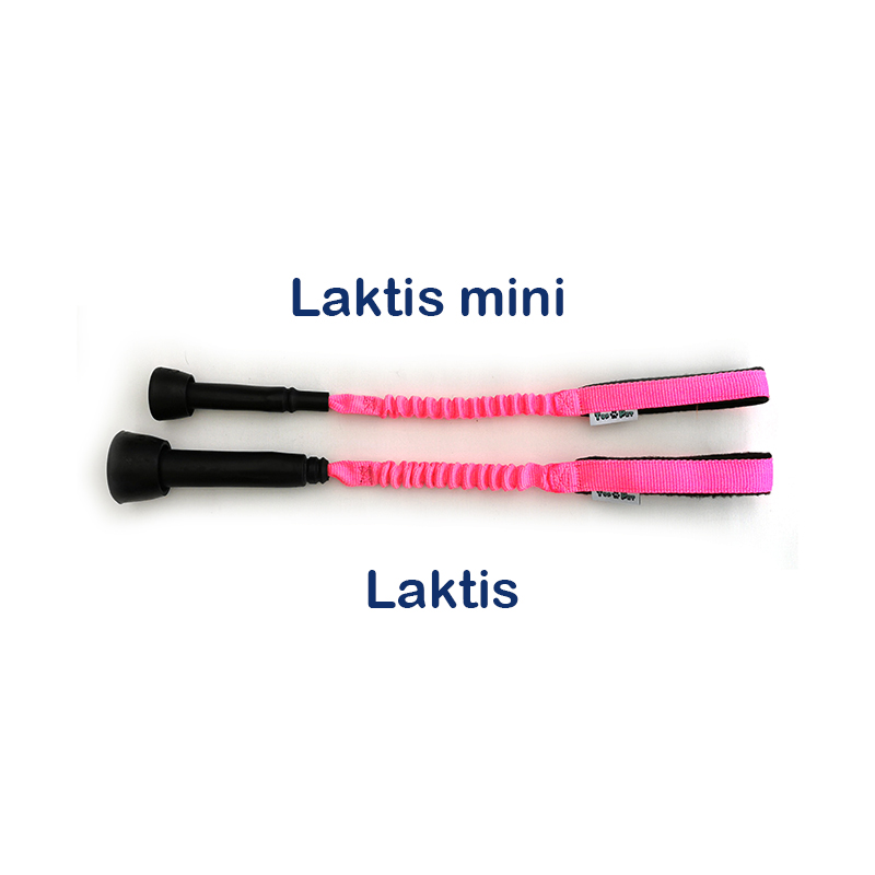 Laktis mini - Top Pet