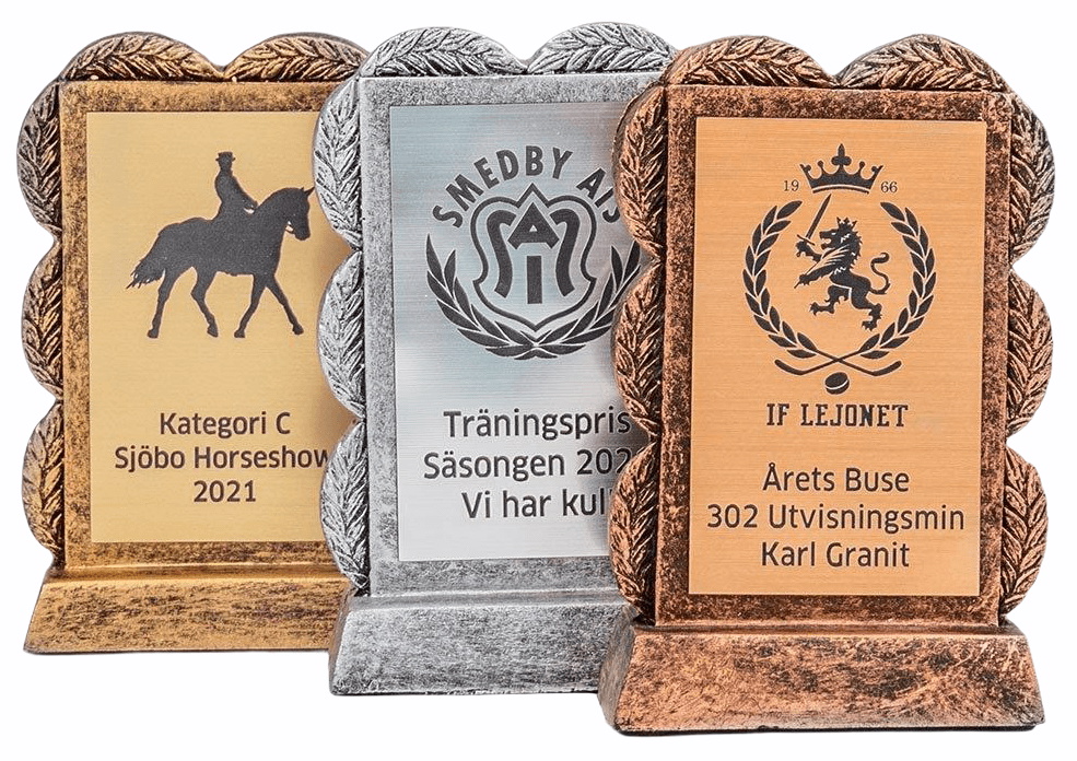 Plakett Cloud - Idrottspriser Karlstad AB