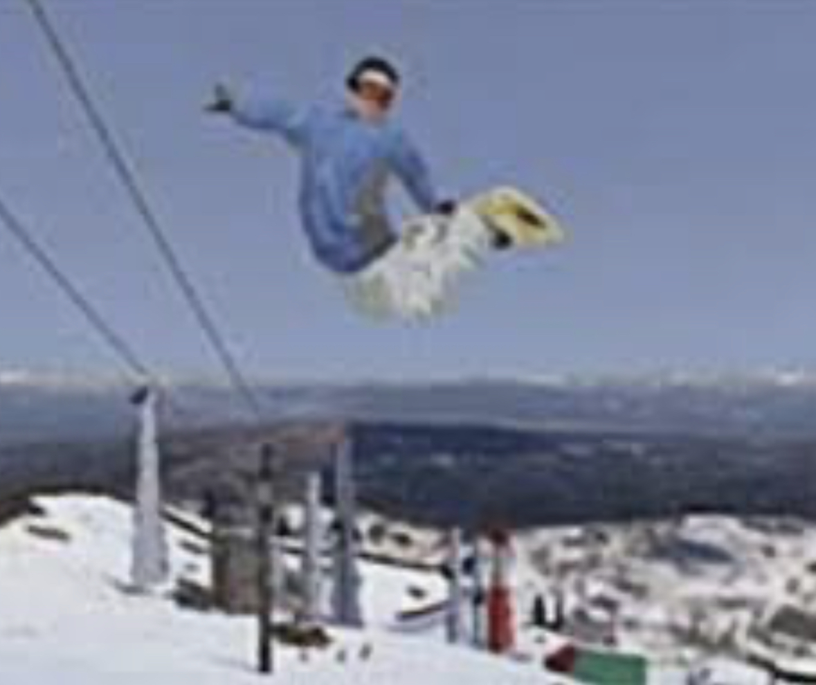 Shaun Palmers Pro Snowboarder - PS2 - gameretro.se