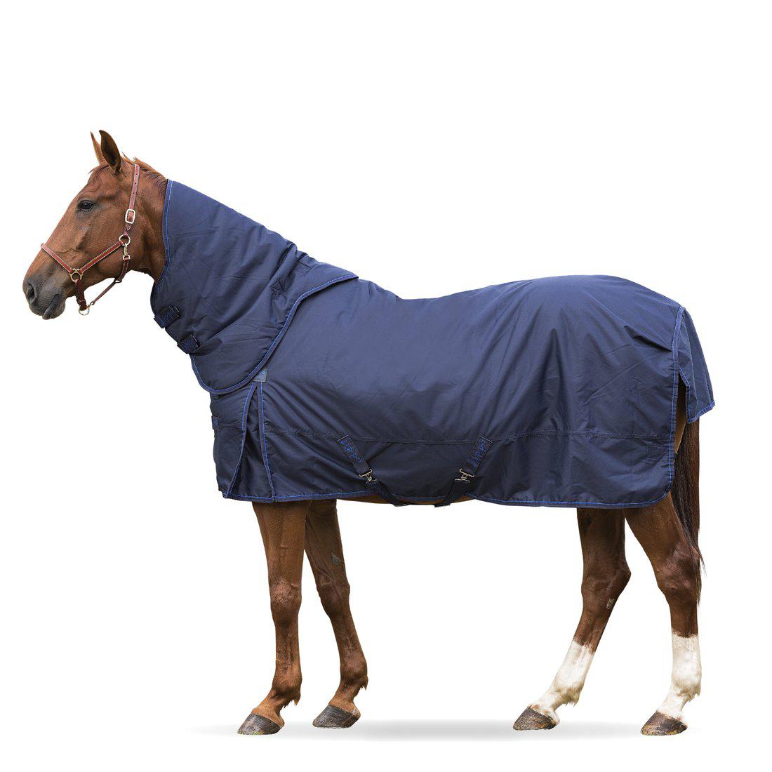 💬2 - Lippo - Loimi Basic Plus - 200g - Petster Suomi