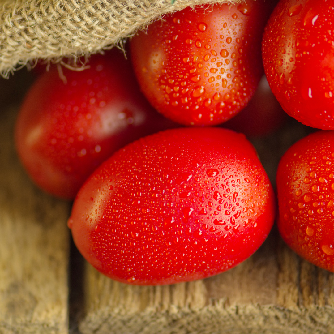 Busktomat - Kmicic - Fröbanken