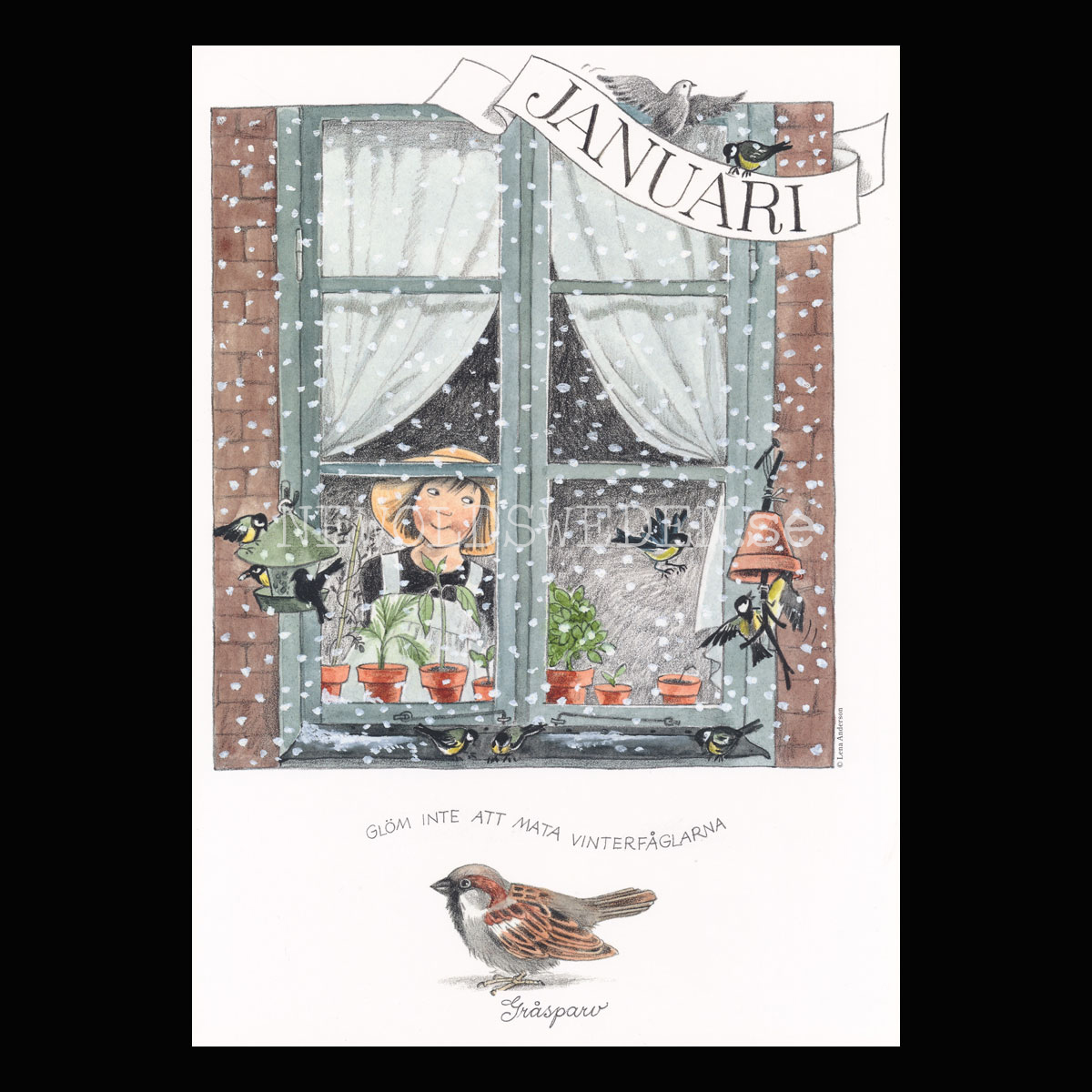 Januari Linnea Månads bild A4 - Lena Andersson - NEWOLDSWEDEN.se