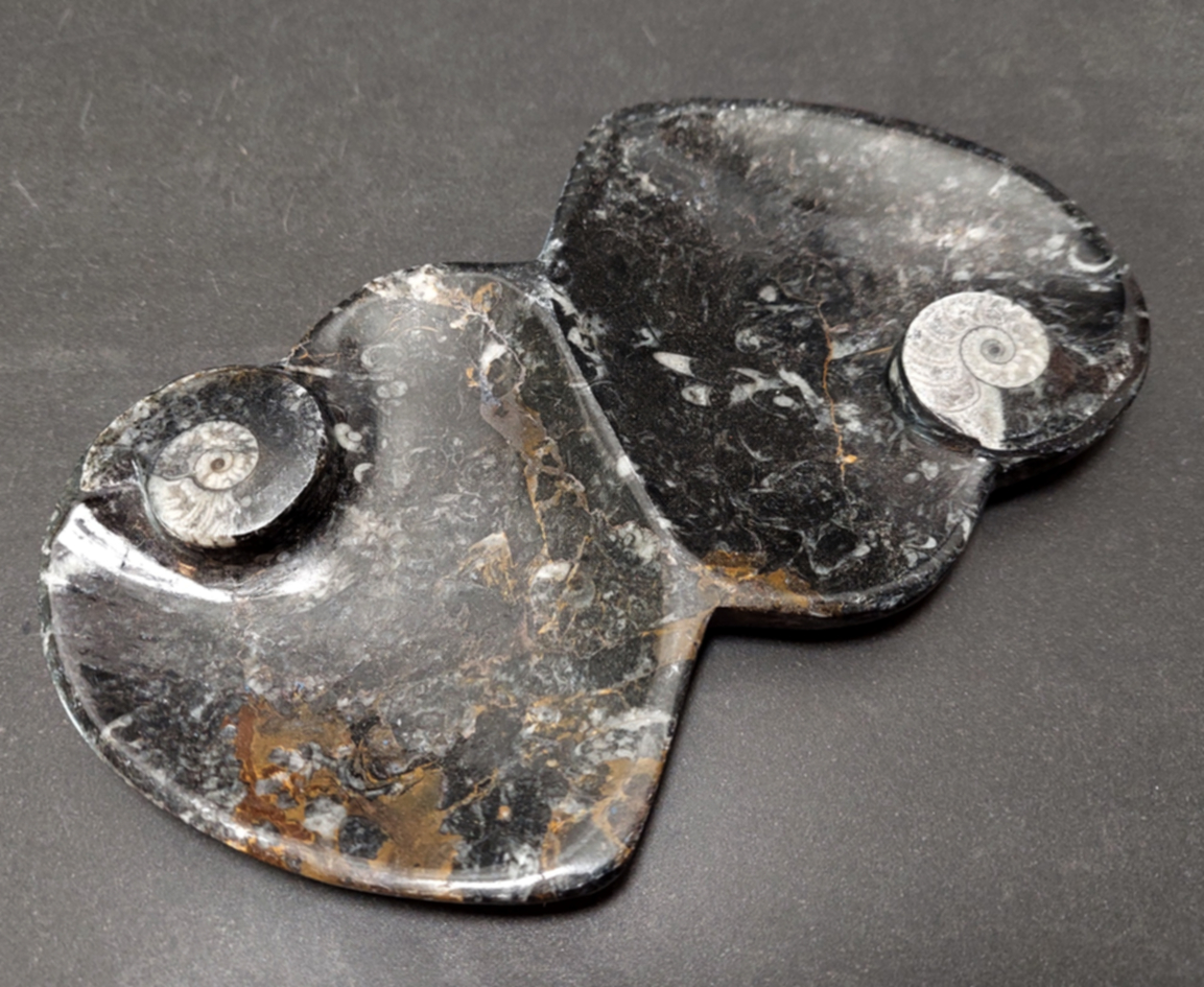 Stengarden.com - Ammoniter och Ortoceratit Dubbelhjärta Fossil skål -S vart