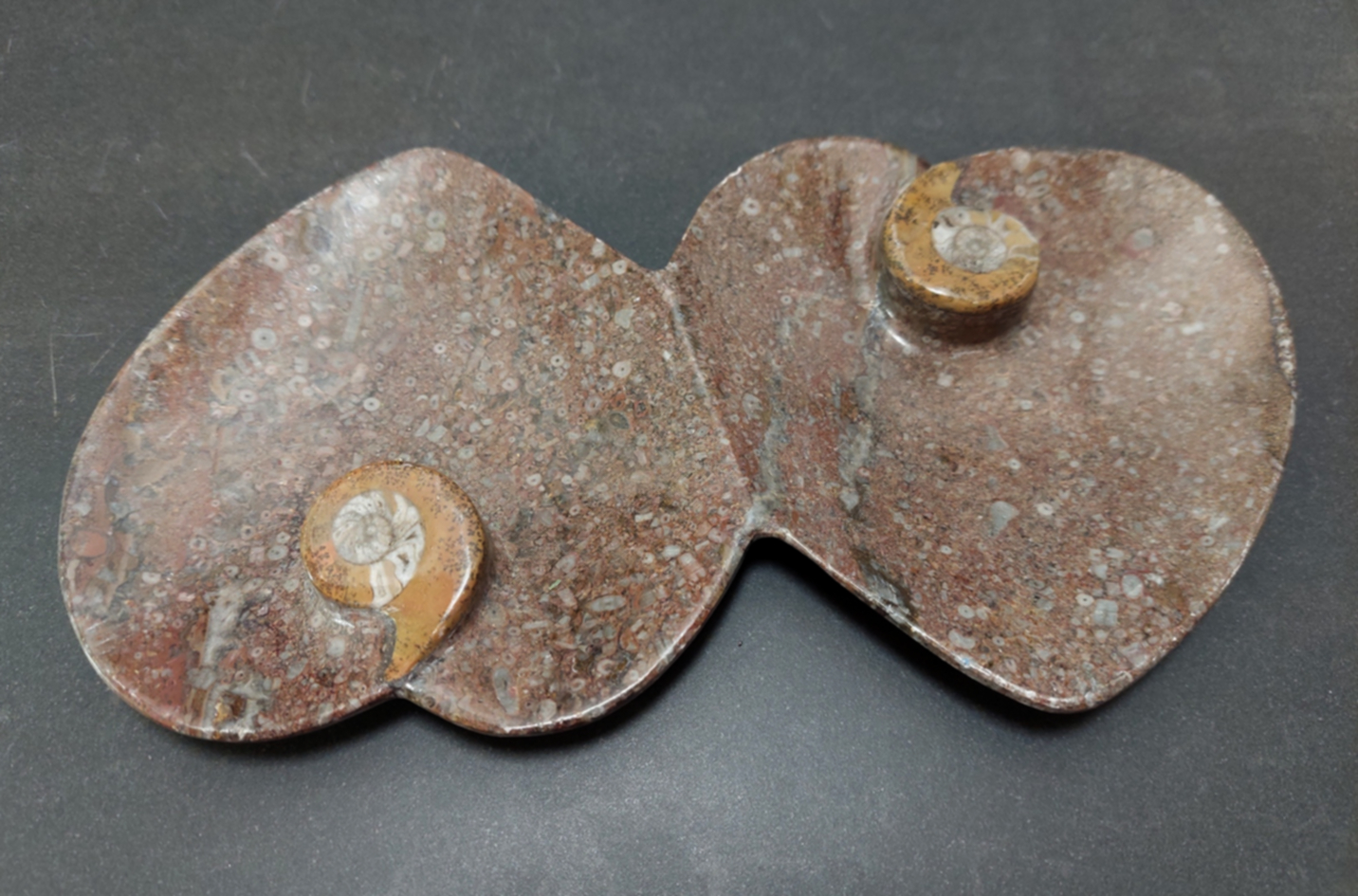 Stengarden.com - Ammoniter och Ortoceratit Dubbelhjärta Fossil skål - Brun