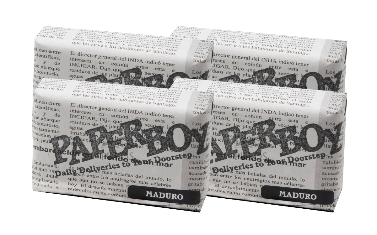Paper Boy Maduro Petit Corona – El Artista 8-pack - www.puros.se