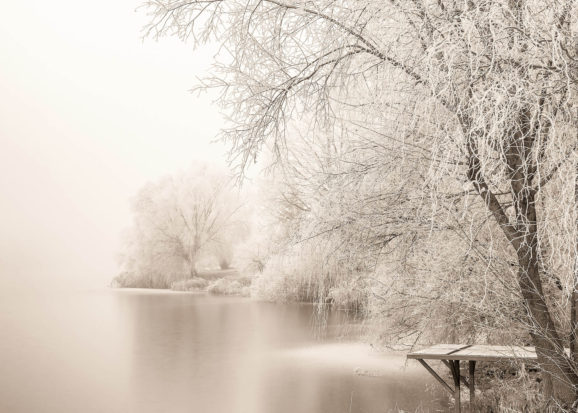 Photo Art - Frozen Tree - | Canvasbutik.com