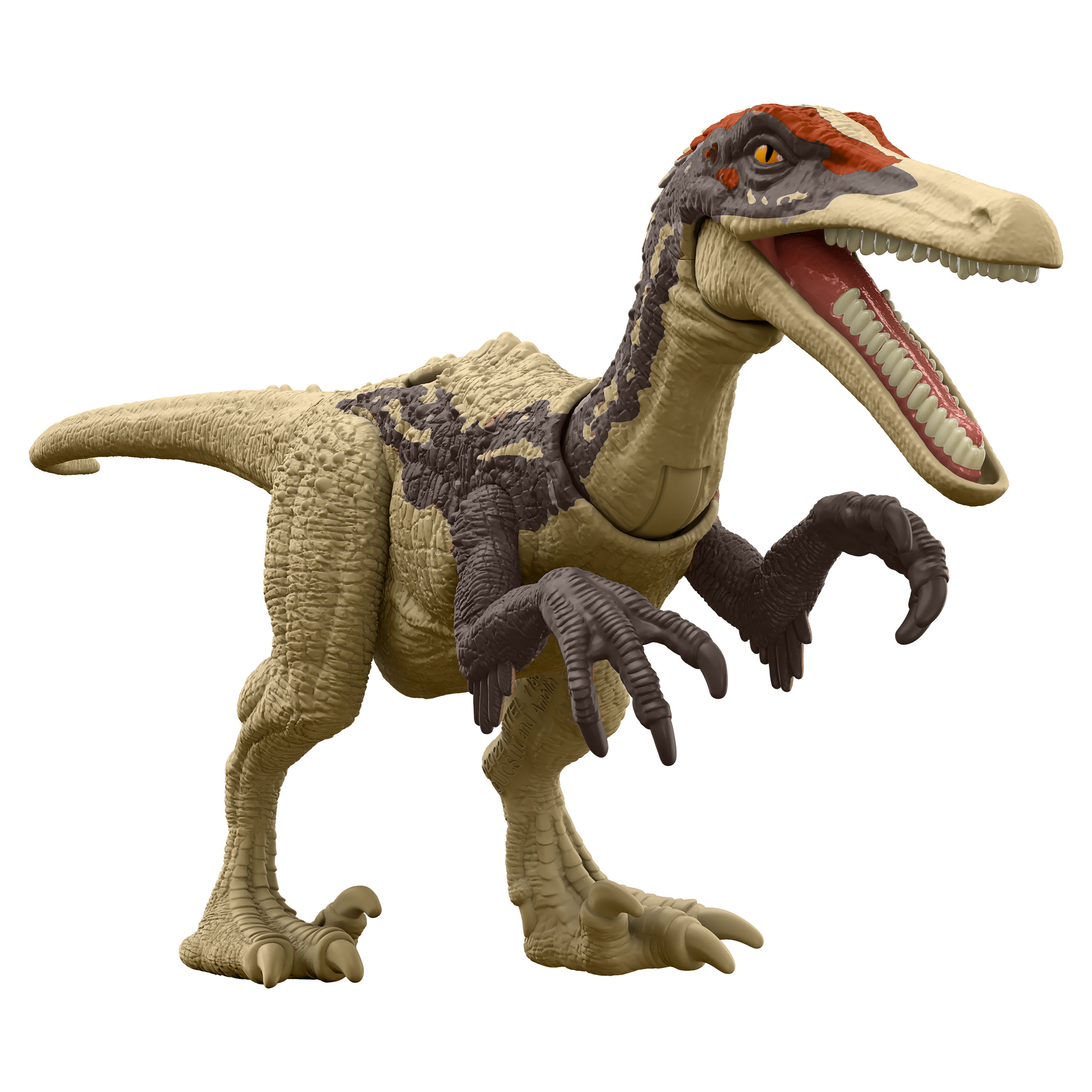 Jurassic World HLN50 Danger Pack Austroraptor - Robbis Hobby Shop