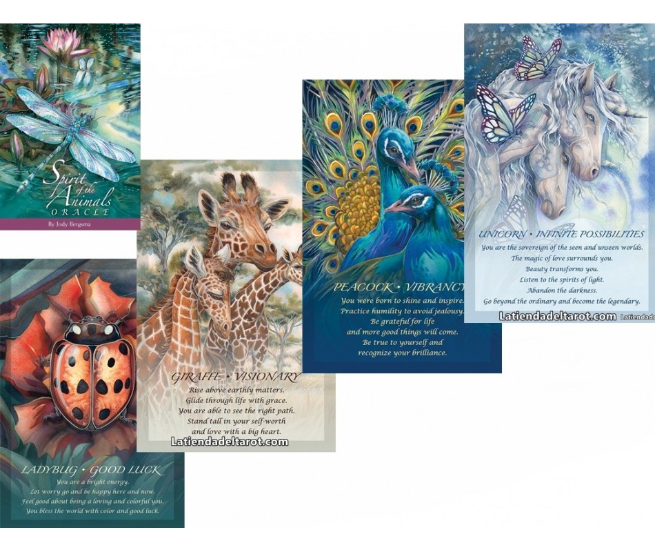 Stengarden.com - Spirit of the Animals Oracle Deck