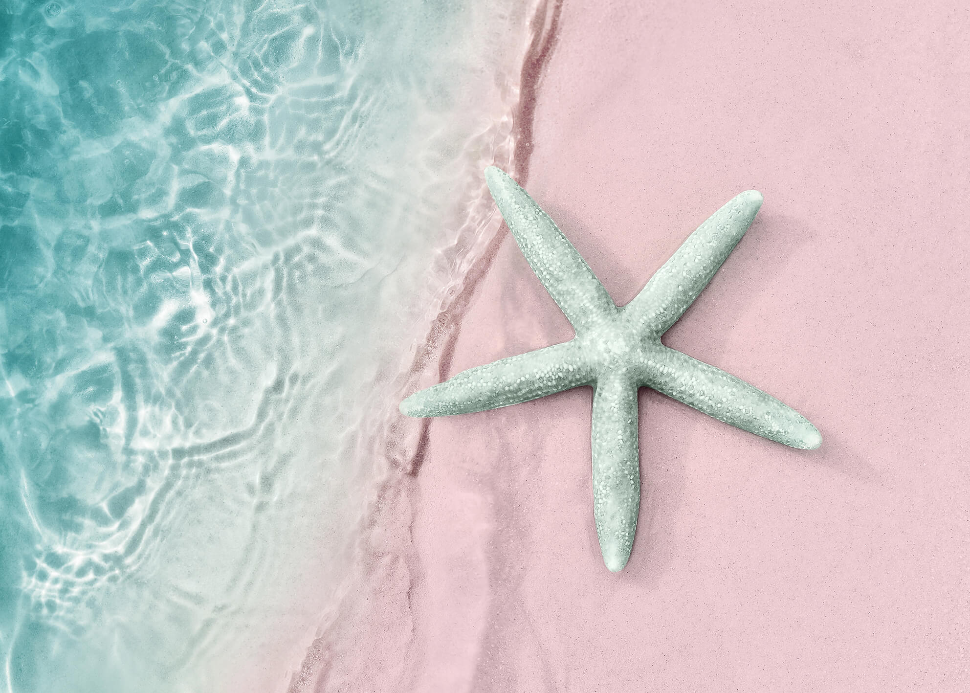 Canvasbutik.com - Photo Art - Turquoise starfish