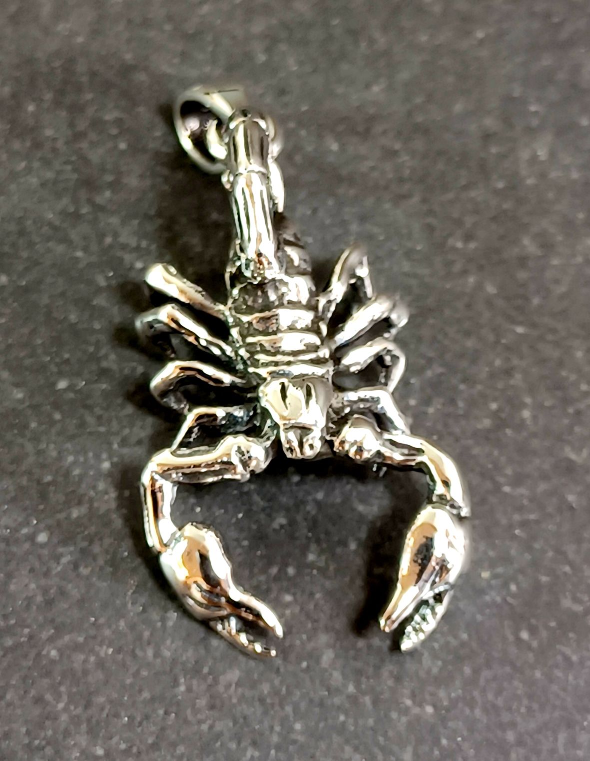 Stengarden.com - Skorpion hänge i Silver