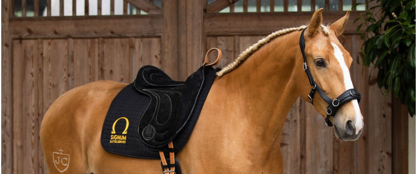Omega Innovation Dressage ridpad / barbackasadel, Black, M - www.taur.se