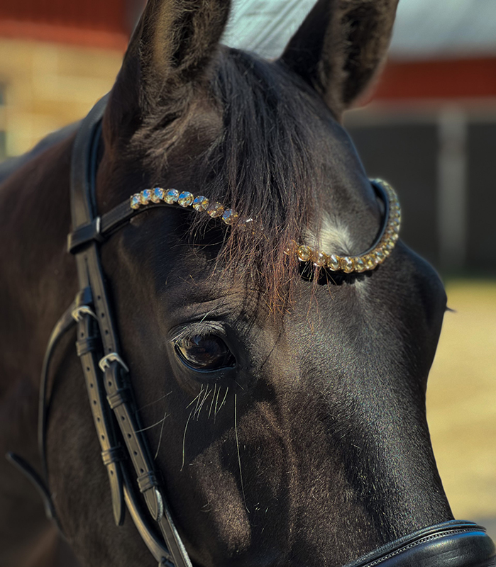 Browband horse with big crystals ECO LEATHER. - Kyro Riding Gear