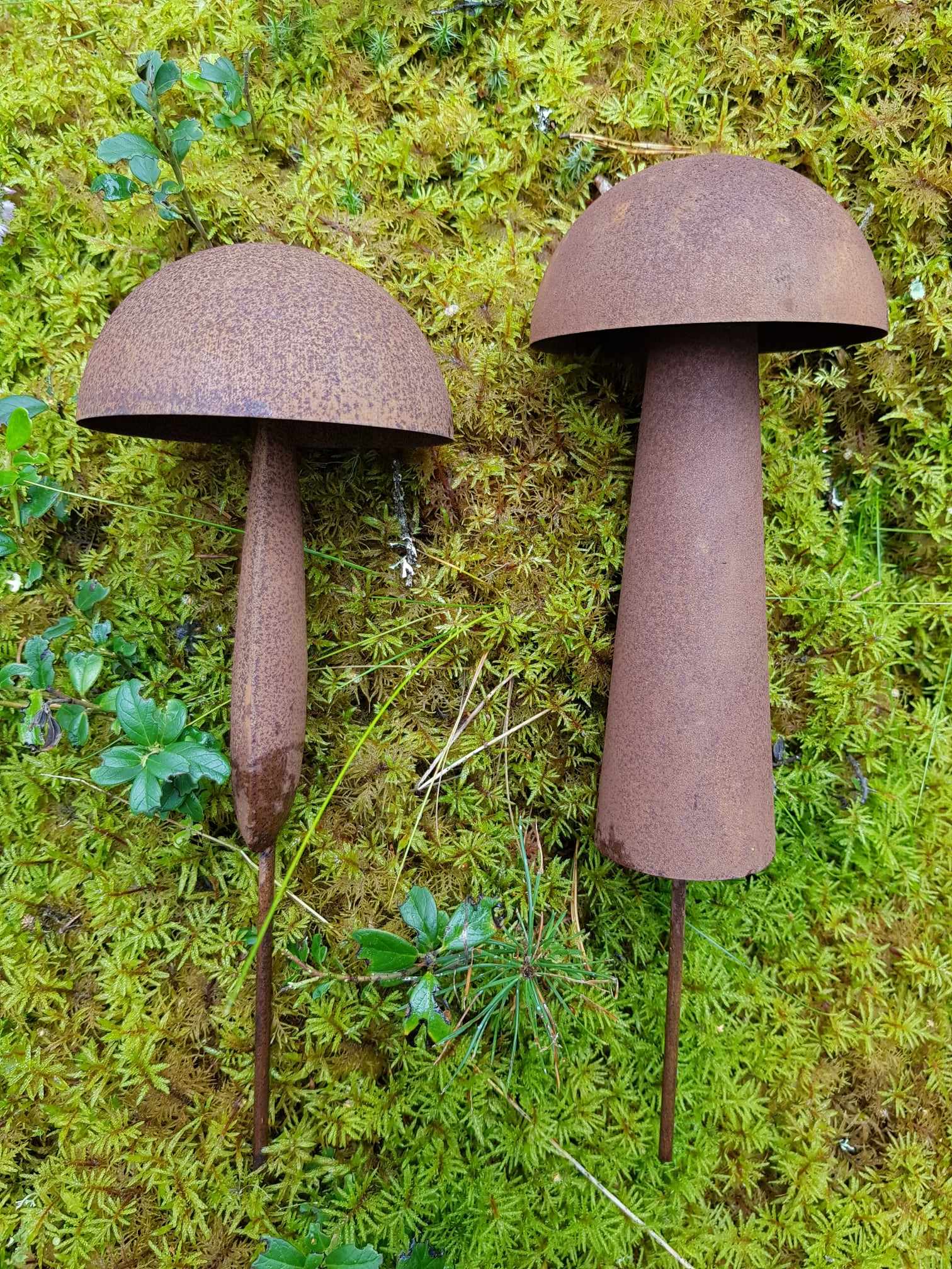 Svamp på pinne i rost - Calimero Familjebutiken