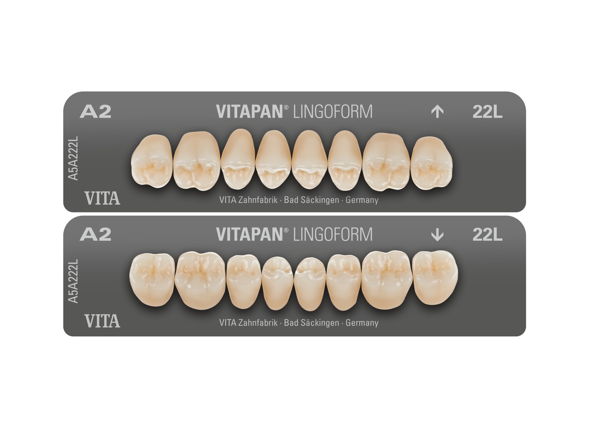 VITAPAN-LINGOFORM-DIATORER - Denthouse AB