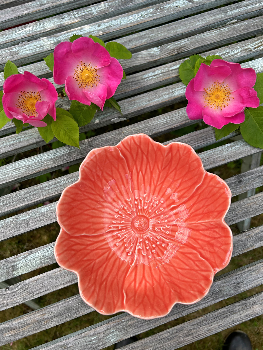 Vita Ranunkler - Skål Flora laxrosa