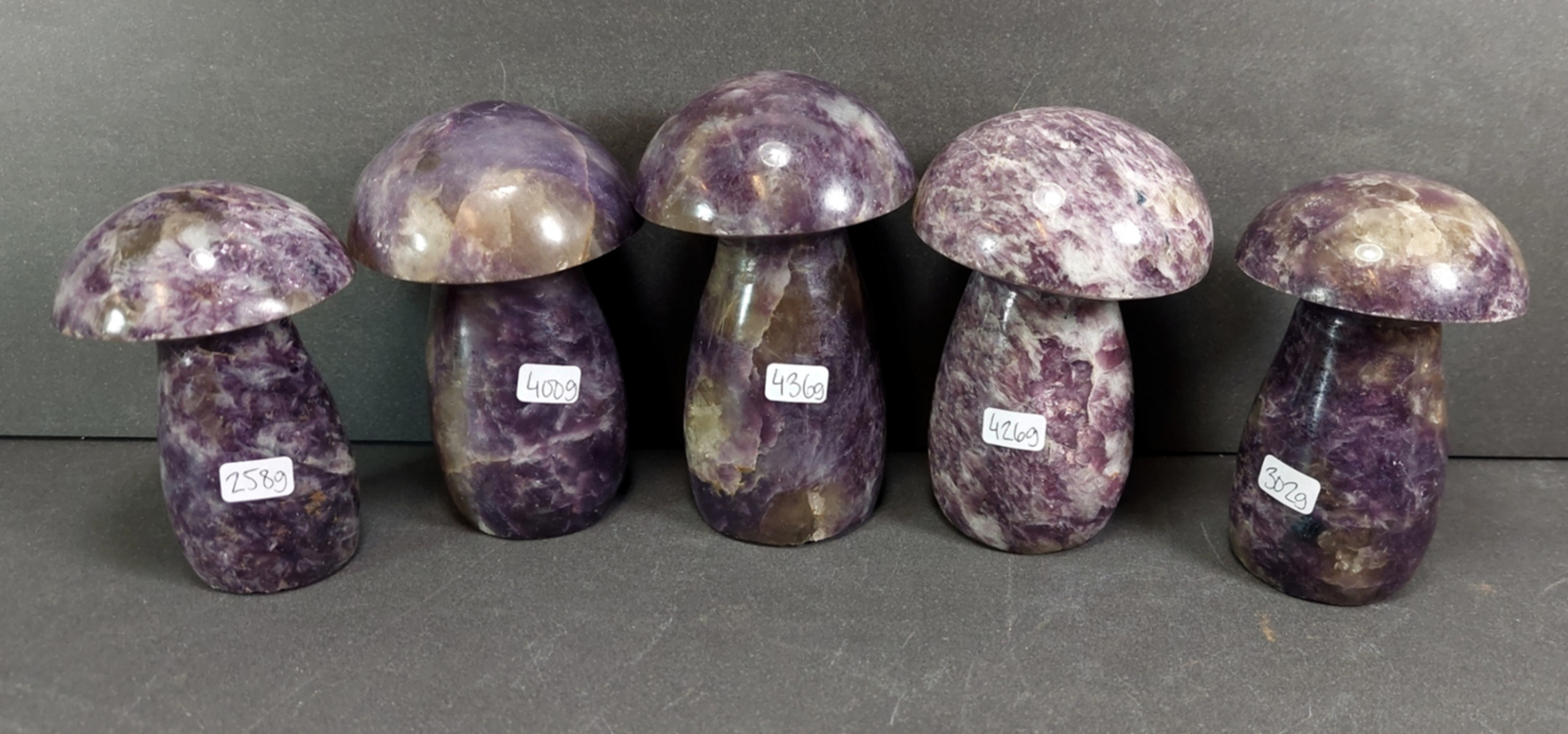 Stengarden.com - Lepidolit Svamp