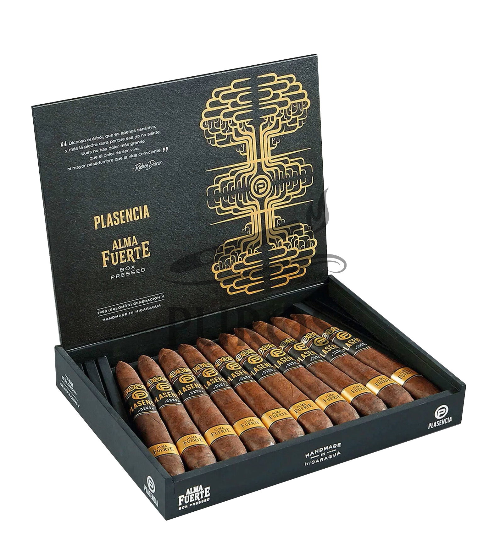 Plasencia Alma Fuerte Salomon - www.puros.se