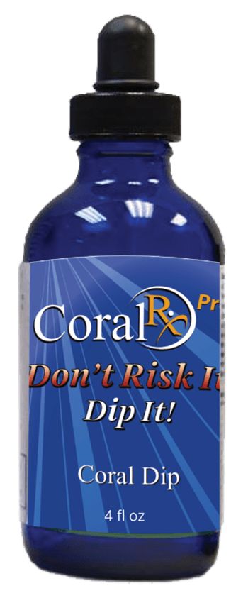 Coral RX Pro Coral Dip - Salt i Väst