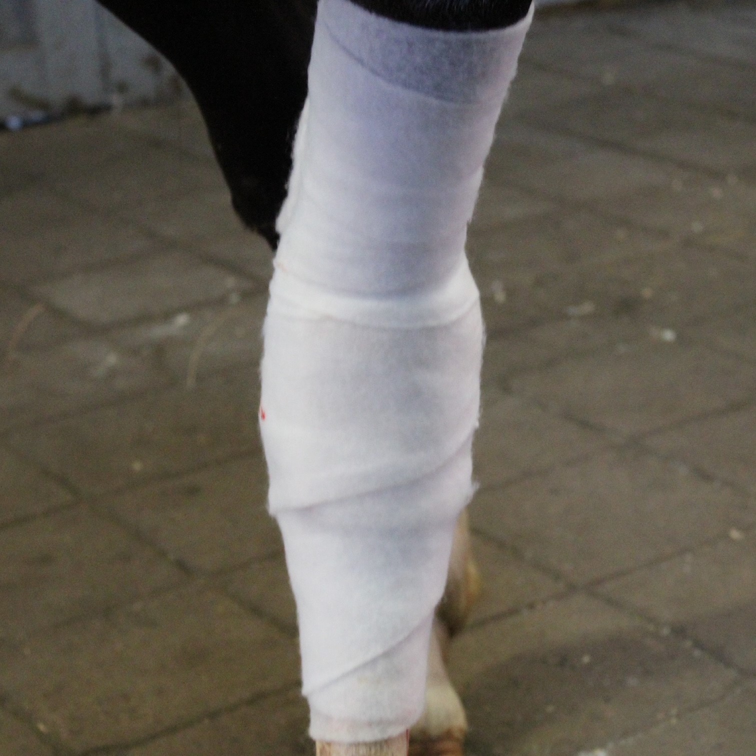 Cellona Upholstery Wadding Synthetic 4 pcs - 10 cm x 3 m - PETSTER