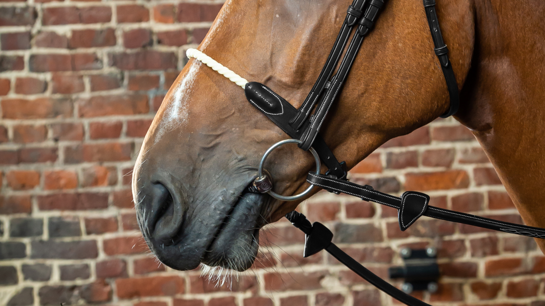 DYON REPNOSGRIMMA DY - Strömsbergsgård