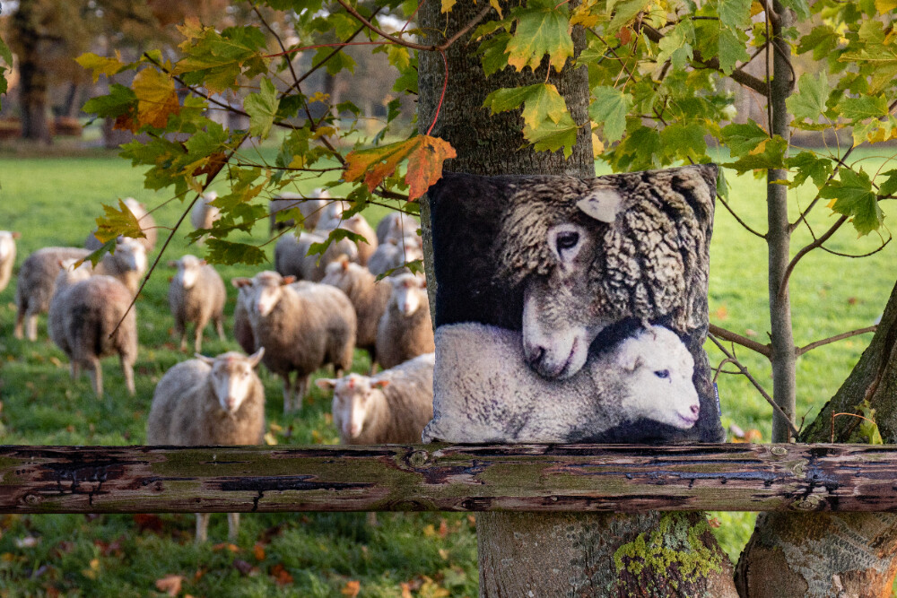 Kudde med tacka och lamm - Dummies.SE