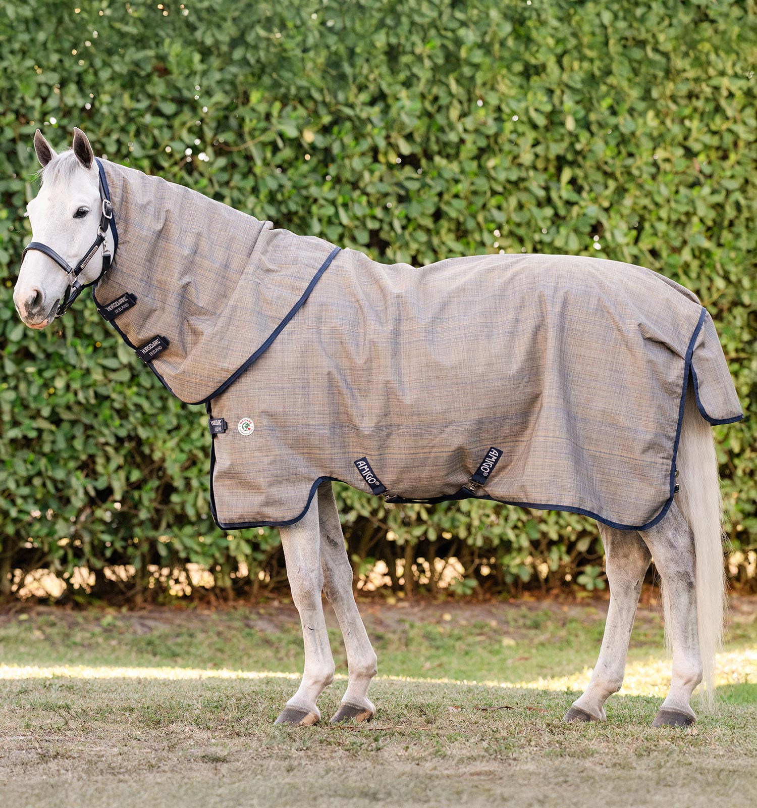 AMIGO HERO 900D REVIVE PLUS 50gr - Strömsbergsgård