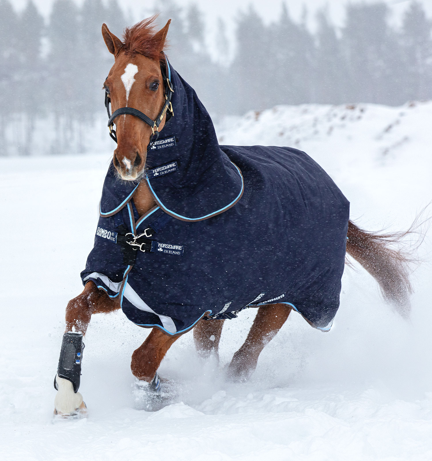Horseware Rambo Duo utedekken 100 g / 300 g - marineblå/himmelblå/brun ...