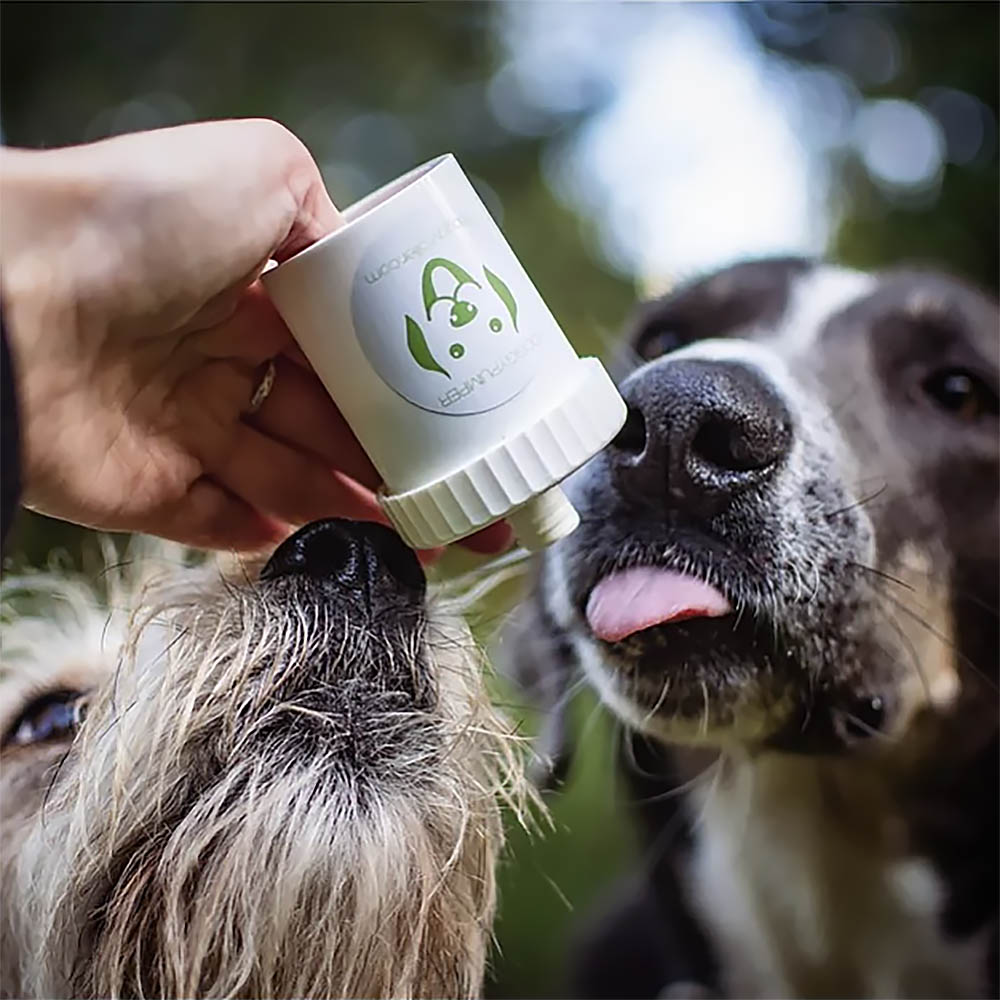 Doggypumper | Belöningspump till hund| Hansesgården