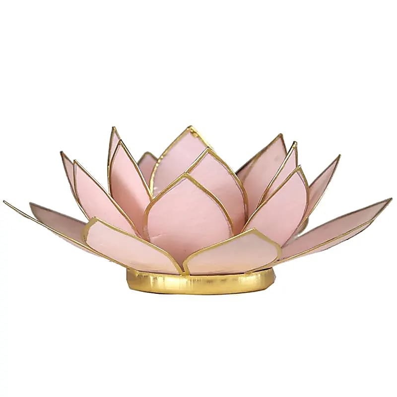Stengarden.com - Lotuslyktan i snäckskal - Ljus Rosa