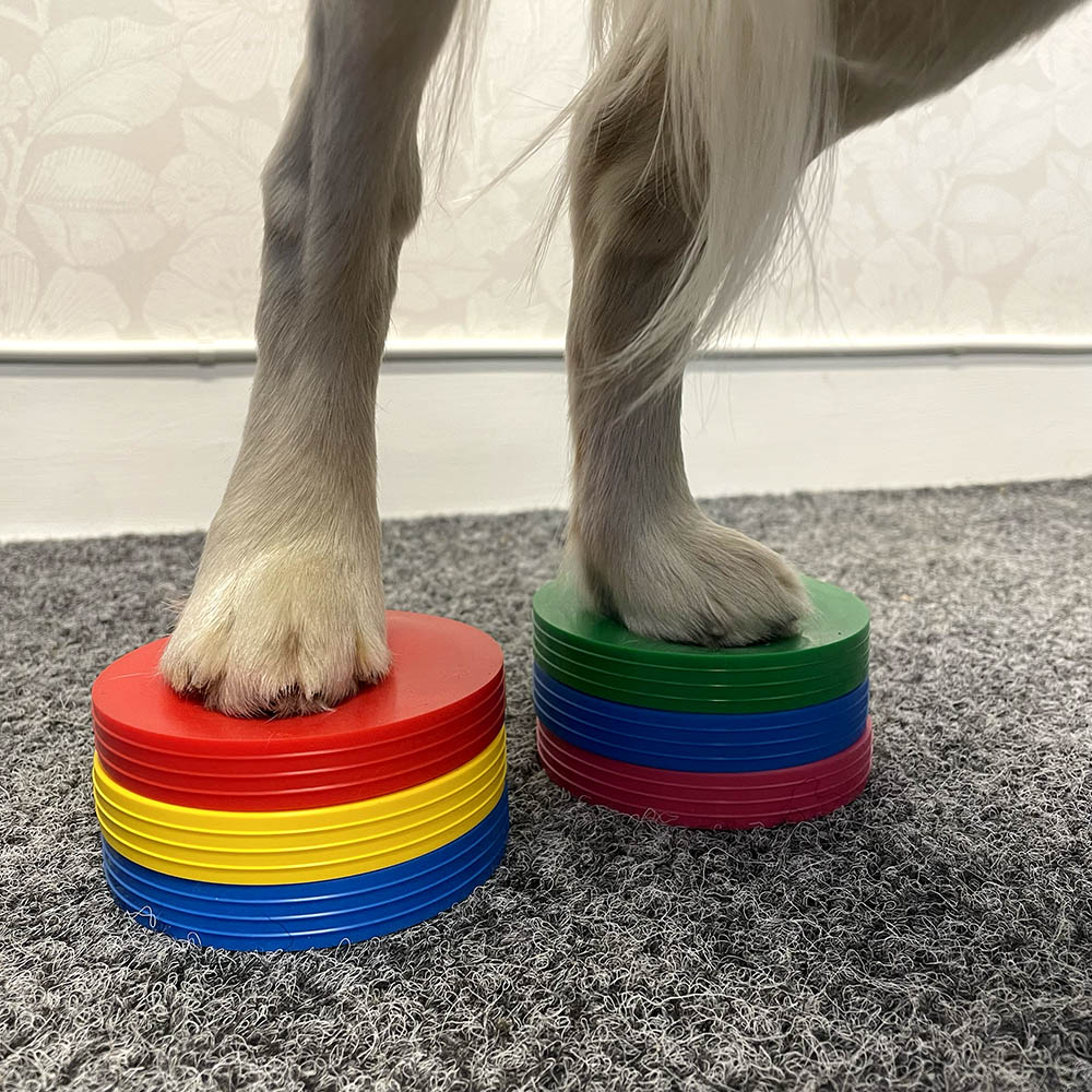 Balance pad mini | For dogs
