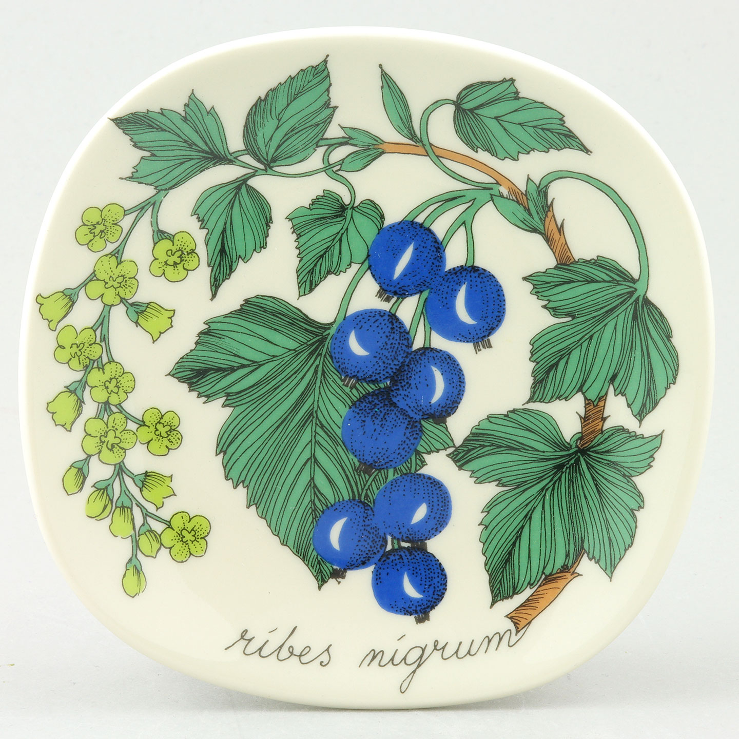 Esteri Tomula (Botanica 1984) Black Currant Wall Plaque