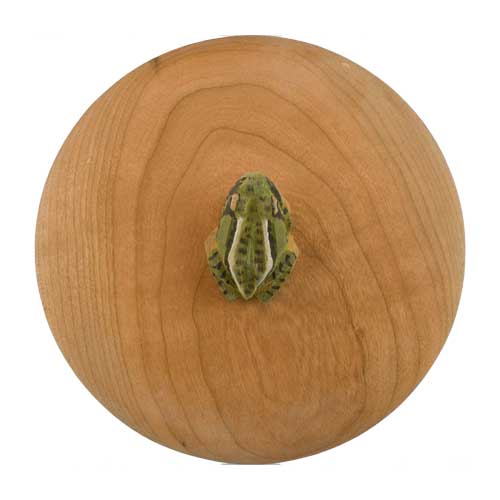 Wooden Box Frog - Wildlife Garden