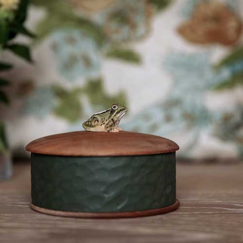 Wooden Box Frog - Wildlife Garden
