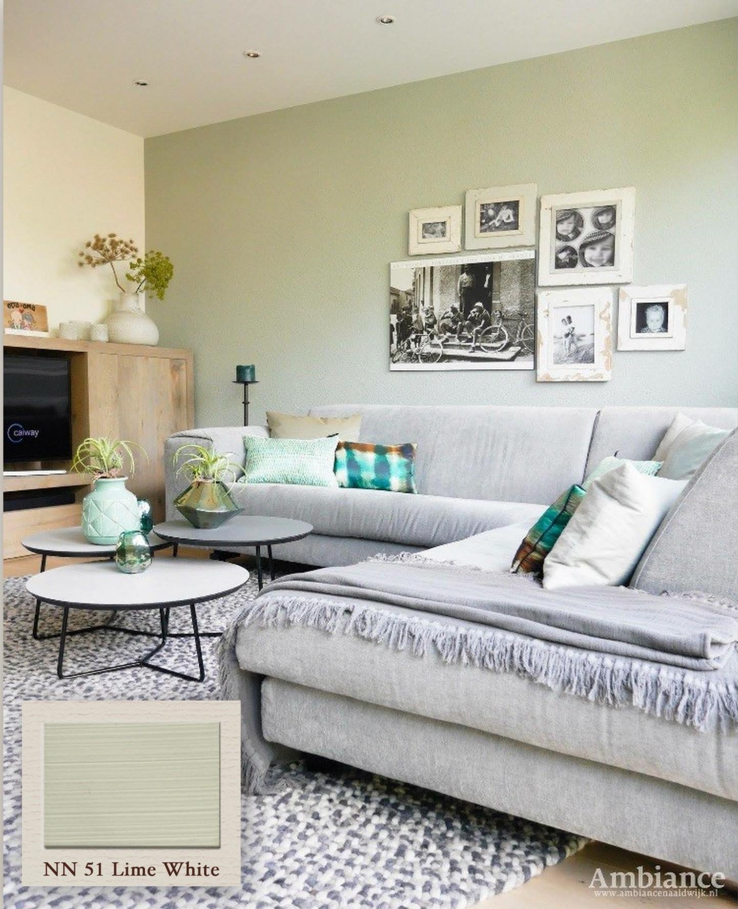 Lime White SNICKERIFÄRG - PAINTING THE PAST