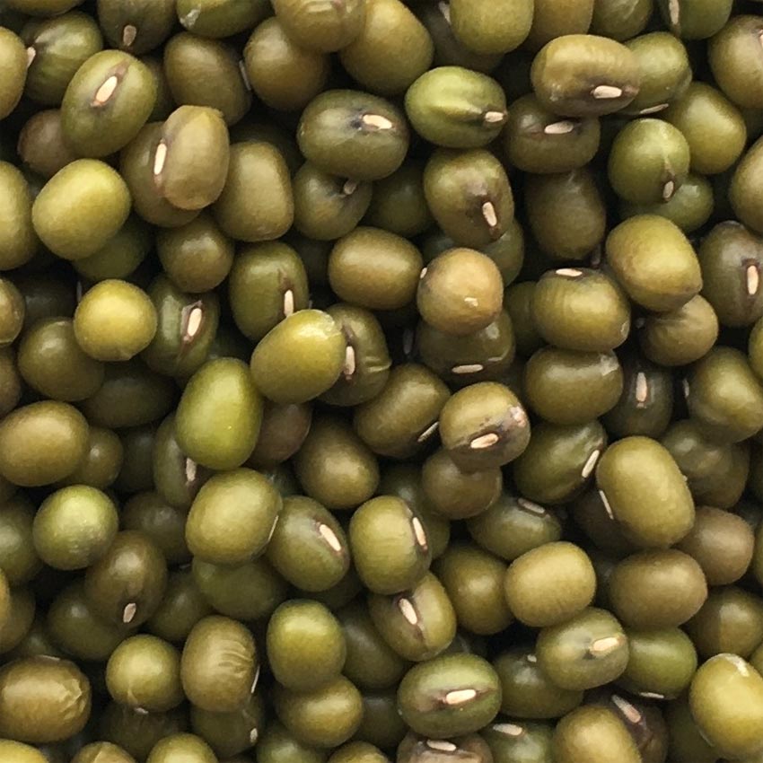 Moong Dal Sabut / Mung Bönor Hela Eko. 1kg, Seyfrieds - AyurvedaButiken