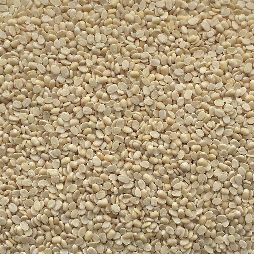 Urid Dal Vit (Dhuli) Eko. 1kg, Seyfrieds - AyurvedaButiken