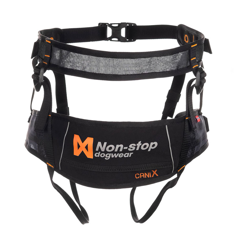 Non-Stop Canix Belt - Bearplayshop.se