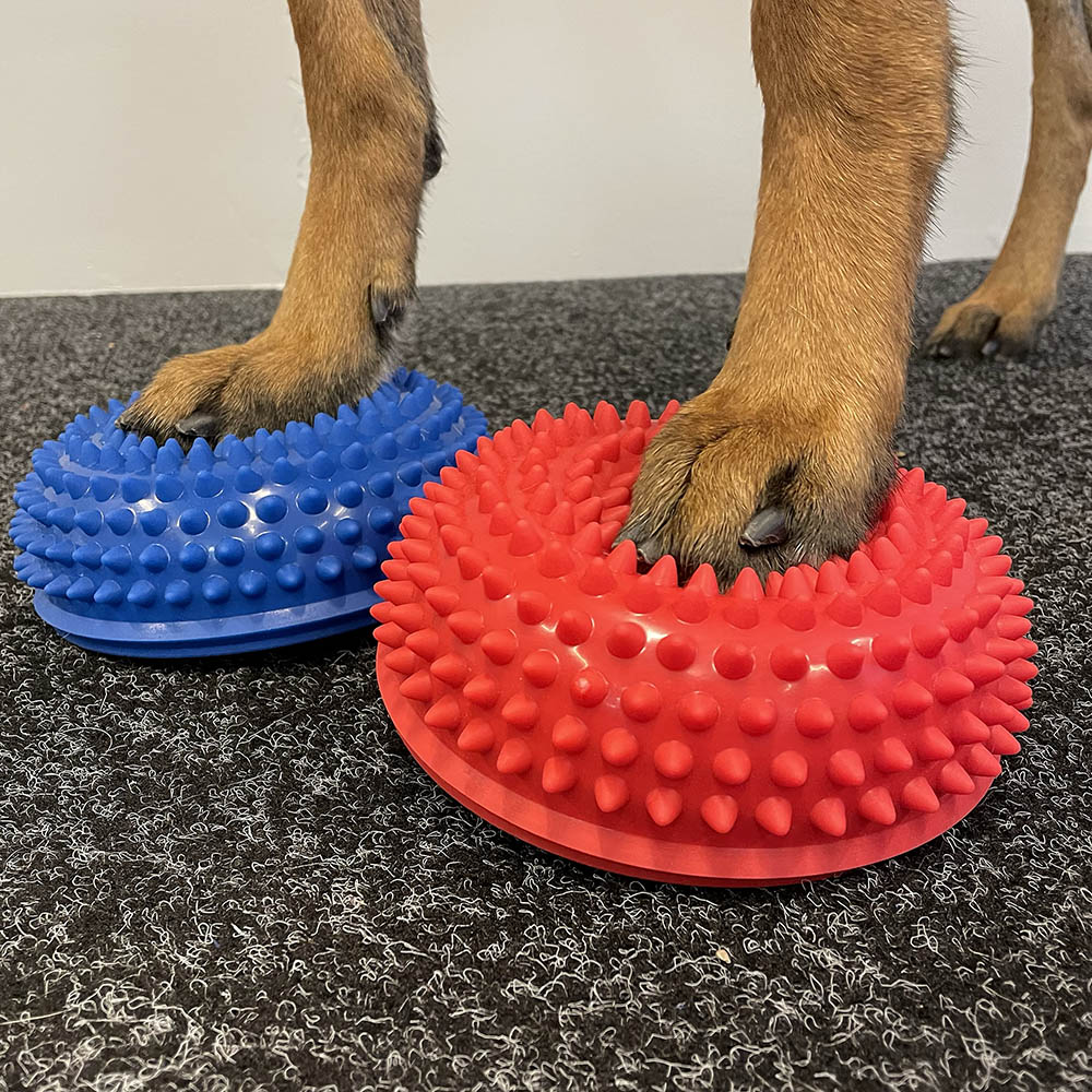 Spiky dome | Workout half balls