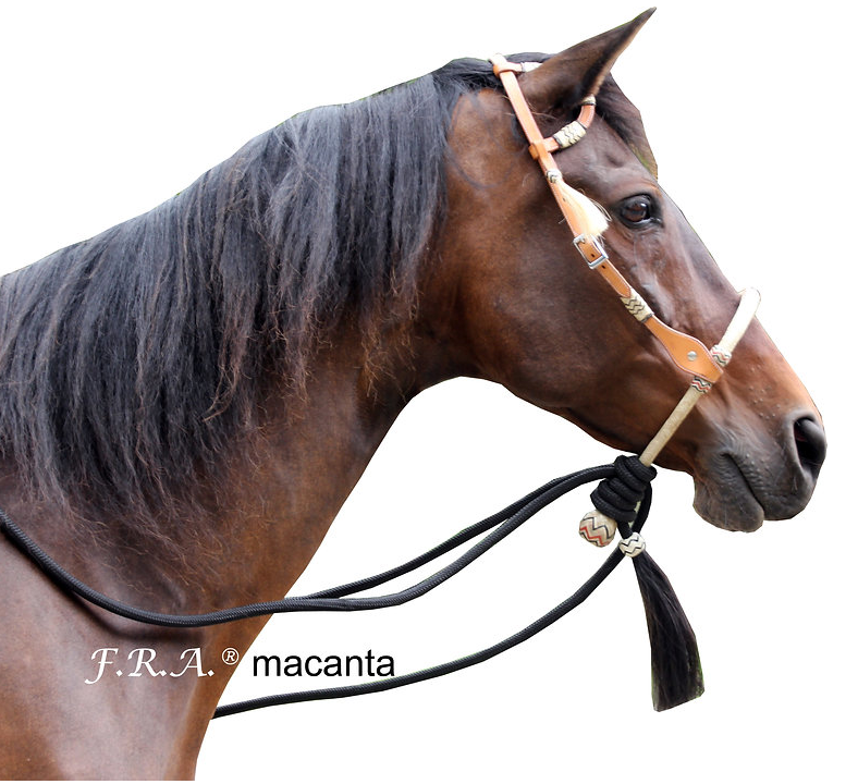 Bosal (komplett) F.R.A® "Macanta" - www.taur.se
