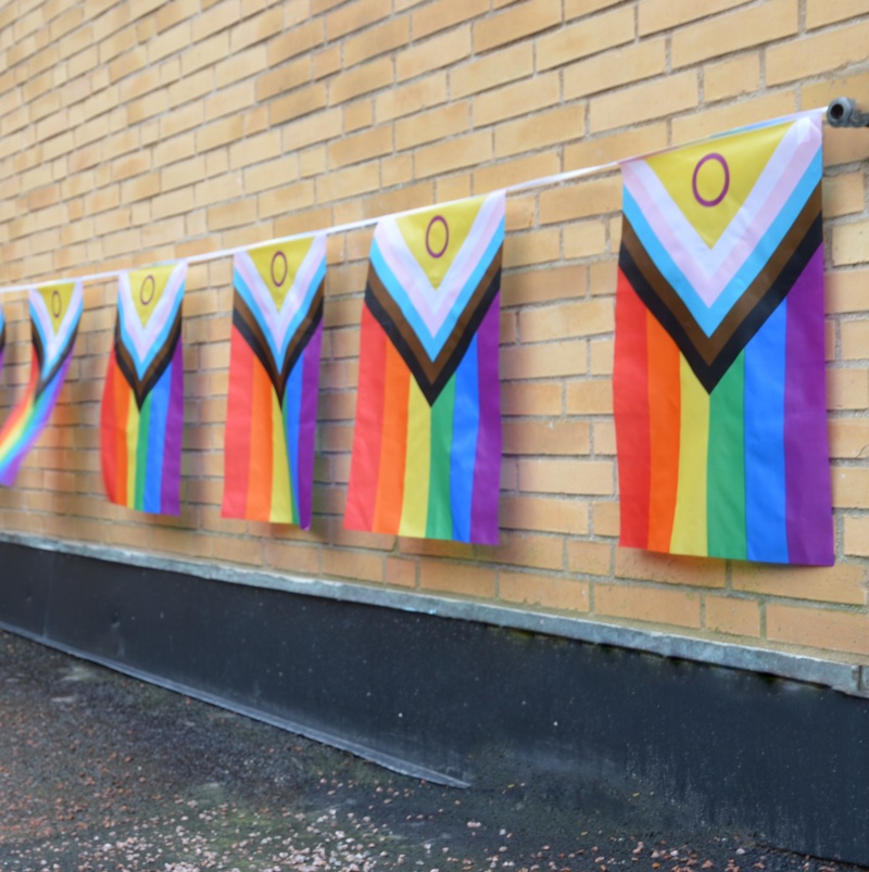 Inter Progress Flaggspel - Mellan | HappyPride