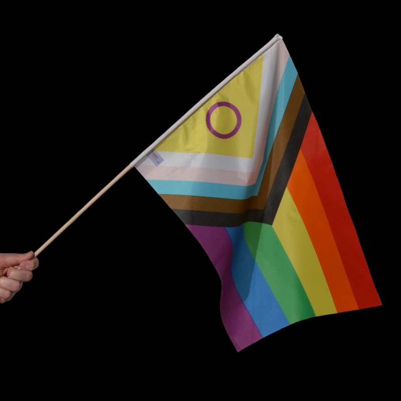 Inter Progress Handflagga Mellan | HappyPride