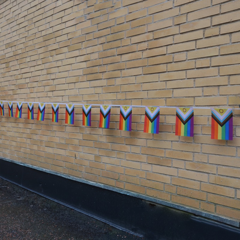 Inter Progress Flaggspel - Mini | HappyPride