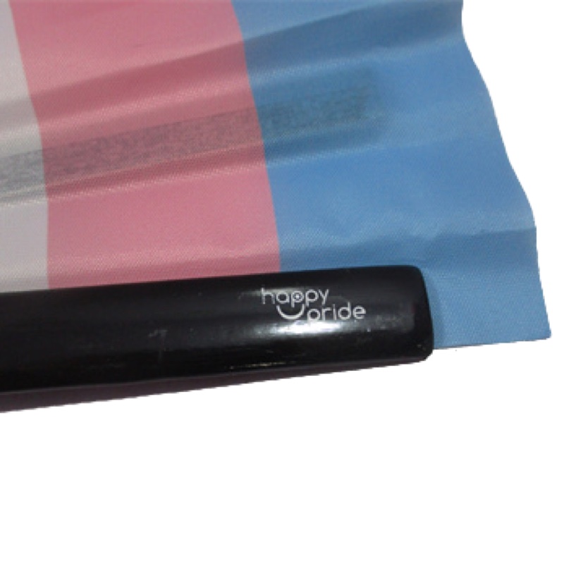 Large Sun Fan Transgender Flag | Happypride