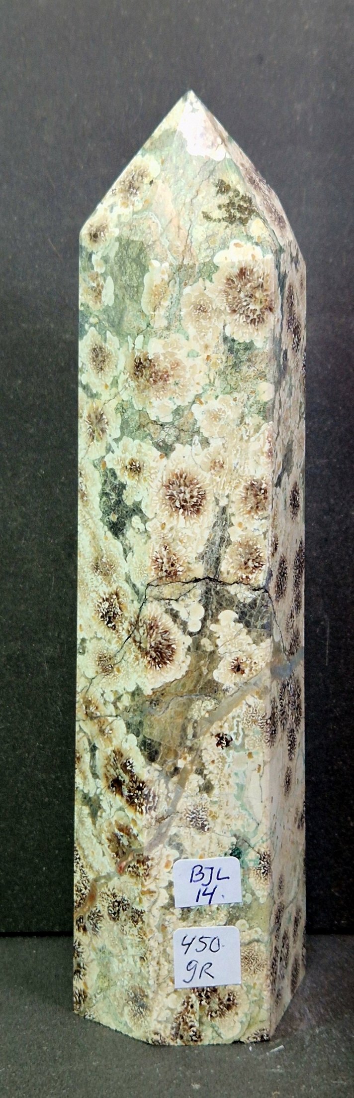 Stengarden.com - Torn - Grön Sakura Jaspis