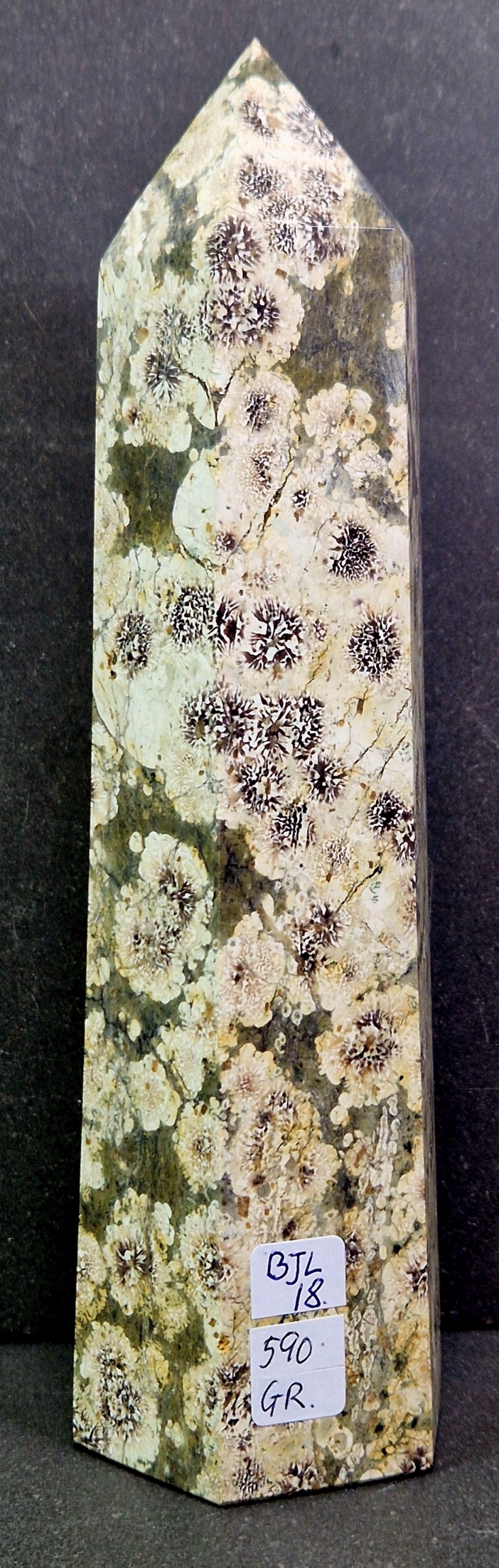 Stengarden.com - Torn - Grön Sakura Jaspis