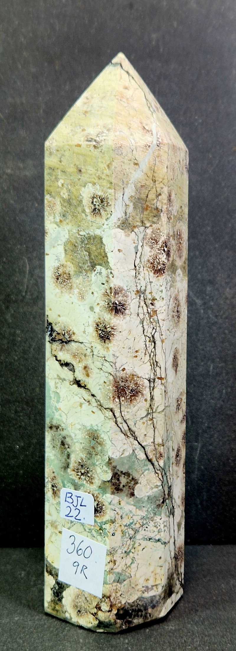 Stengarden.com - Torn - Grön Sakura Jaspis