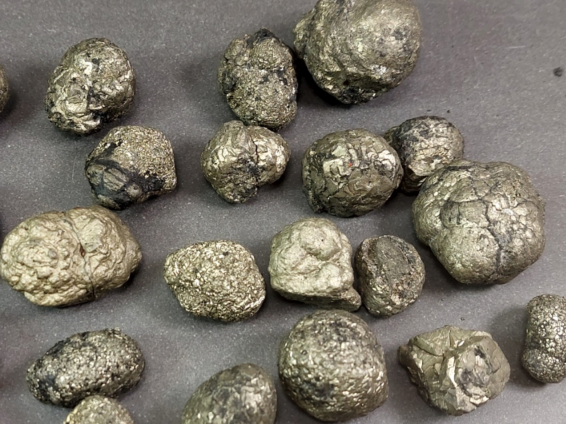 Stengarden.com - Pyrit Nodul