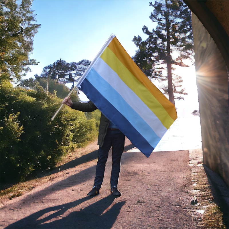 AroAce XL deluxe flag | Happypride