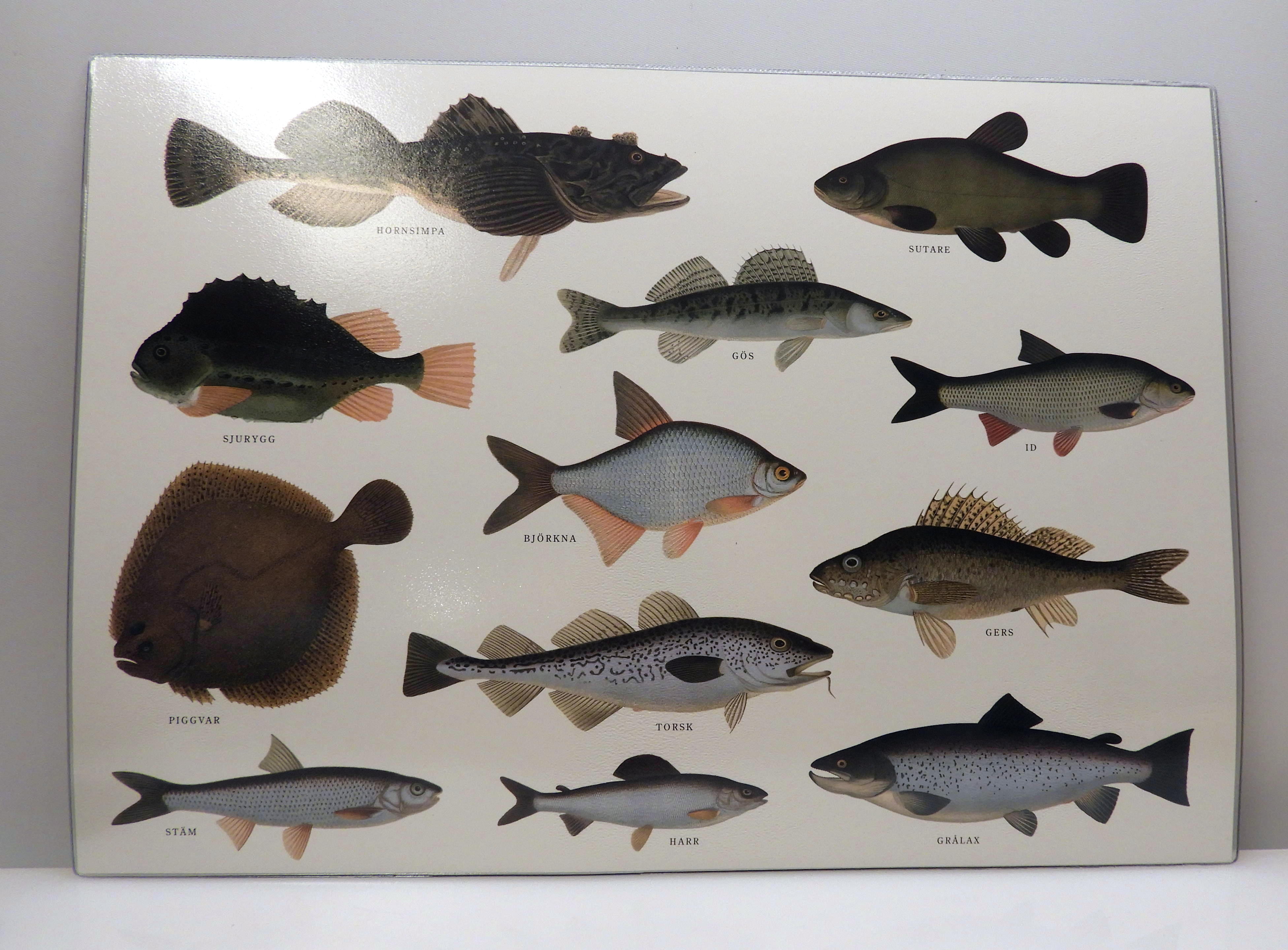 Bordstablett Fiskar - Domestic Present & JanKer Ridsport