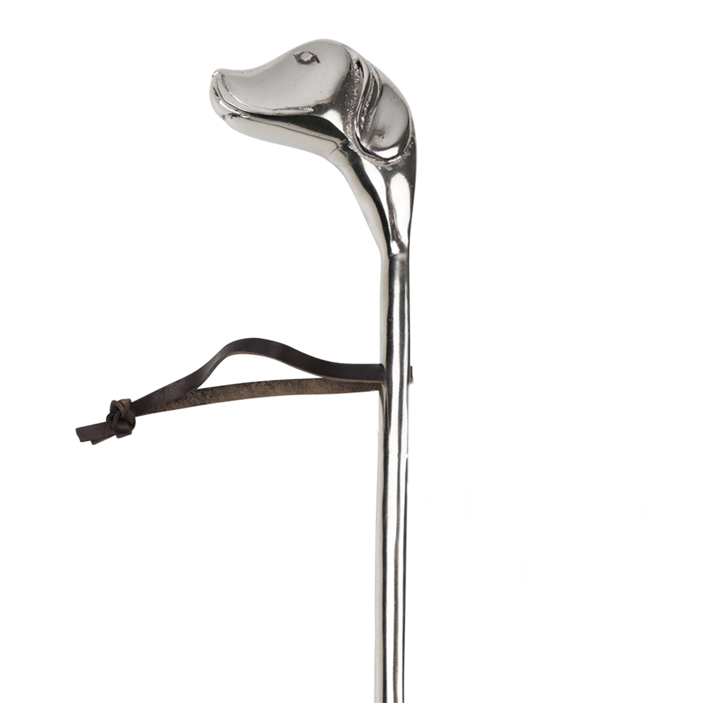 Skohorn med hund - Dummies.SE